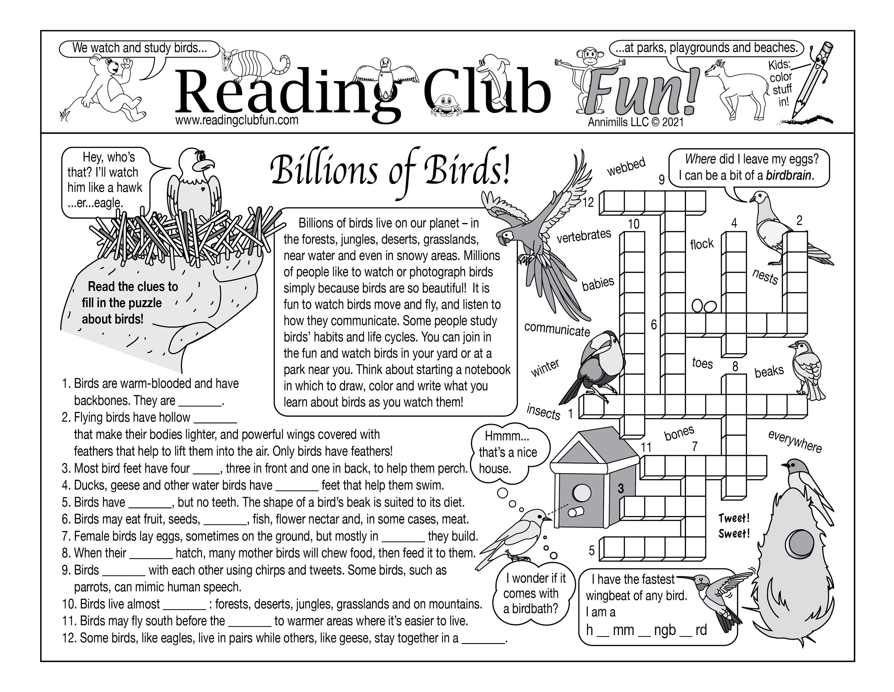 All About Birds – Printable Puzzle Bundle – Facts, Adaptations and ...