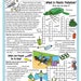 World of Oceans Activity Set Earth Day Printable Puzzles Activity - Etsy