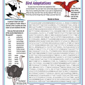 All About Birds Printable Puzzle Bundle Facts, Adaptations and ...
