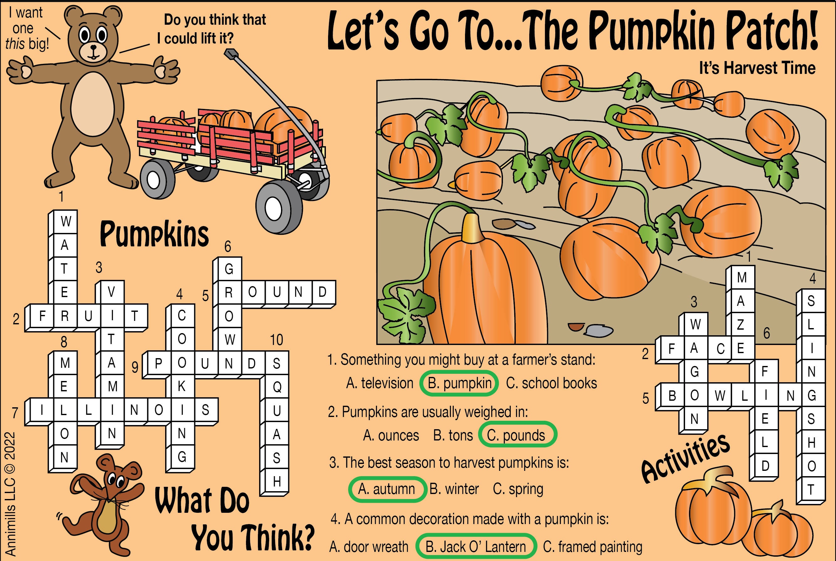 Pumpkin Patch Halloween Visiting the Farm harvest Time - Etsy