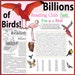 All About Birds Printable Puzzle Bundle Facts, Adaptations and ...
