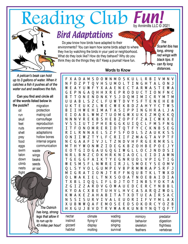 Bird Adaptations Printable Puzzles – Crosswords, Word Search, Beak ...