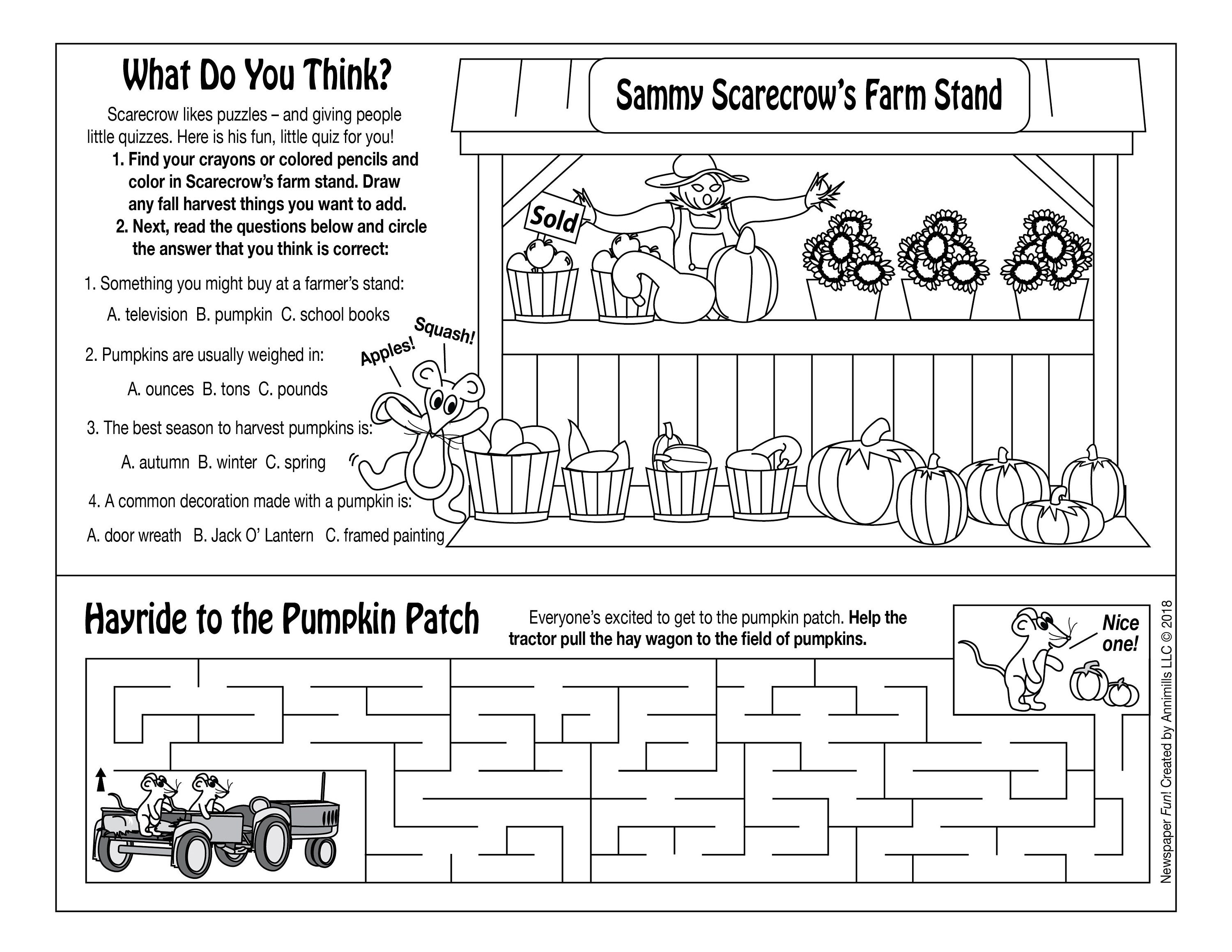 Pumpkin Patch Halloween Visiting the Farm harvest Time - Etsy