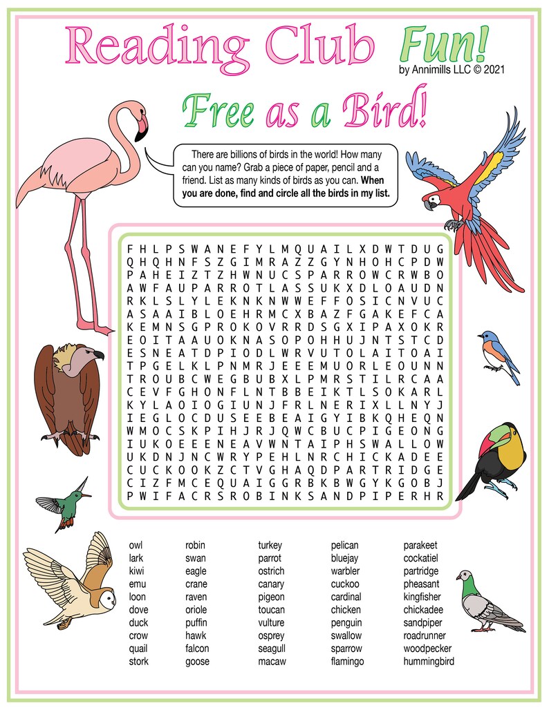 All About Birds Printable Puzzle Bundle Facts, Adaptations and ...
