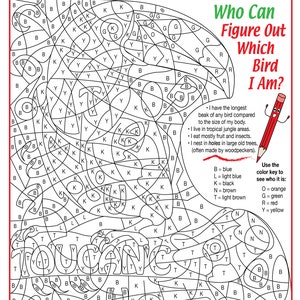 Bird Adaptations Printable Puzzles – Crosswords, Word Search, Beak ...