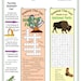National Parks Printable Puzzle Activity Set, Vocabulary Word Search ...