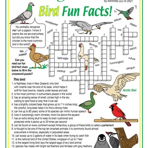 Bird Adaptations Printable Puzzles – Crosswords, Word Search, Beak ...