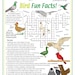 Bird Adaptations Printable Puzzles – Crosswords, Word Search, Beak ...