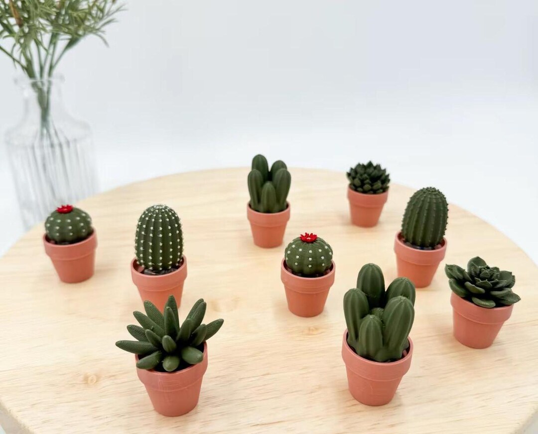 Pocket Plants 3D Printed Mini Plant Decor Collectible - Etsy