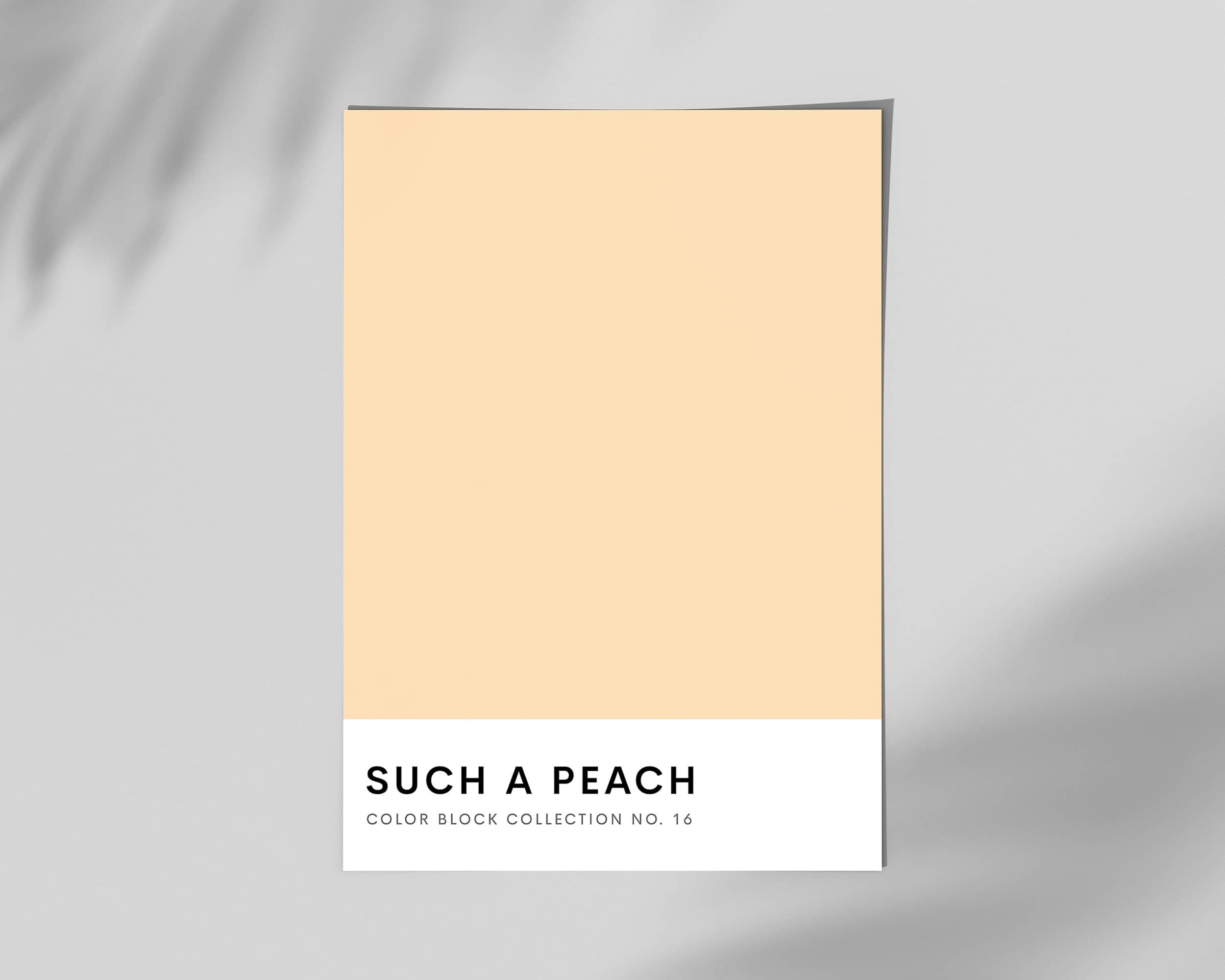 Peach Color Wall Art Peach Color Wall Decor Peach Wall - Etsy