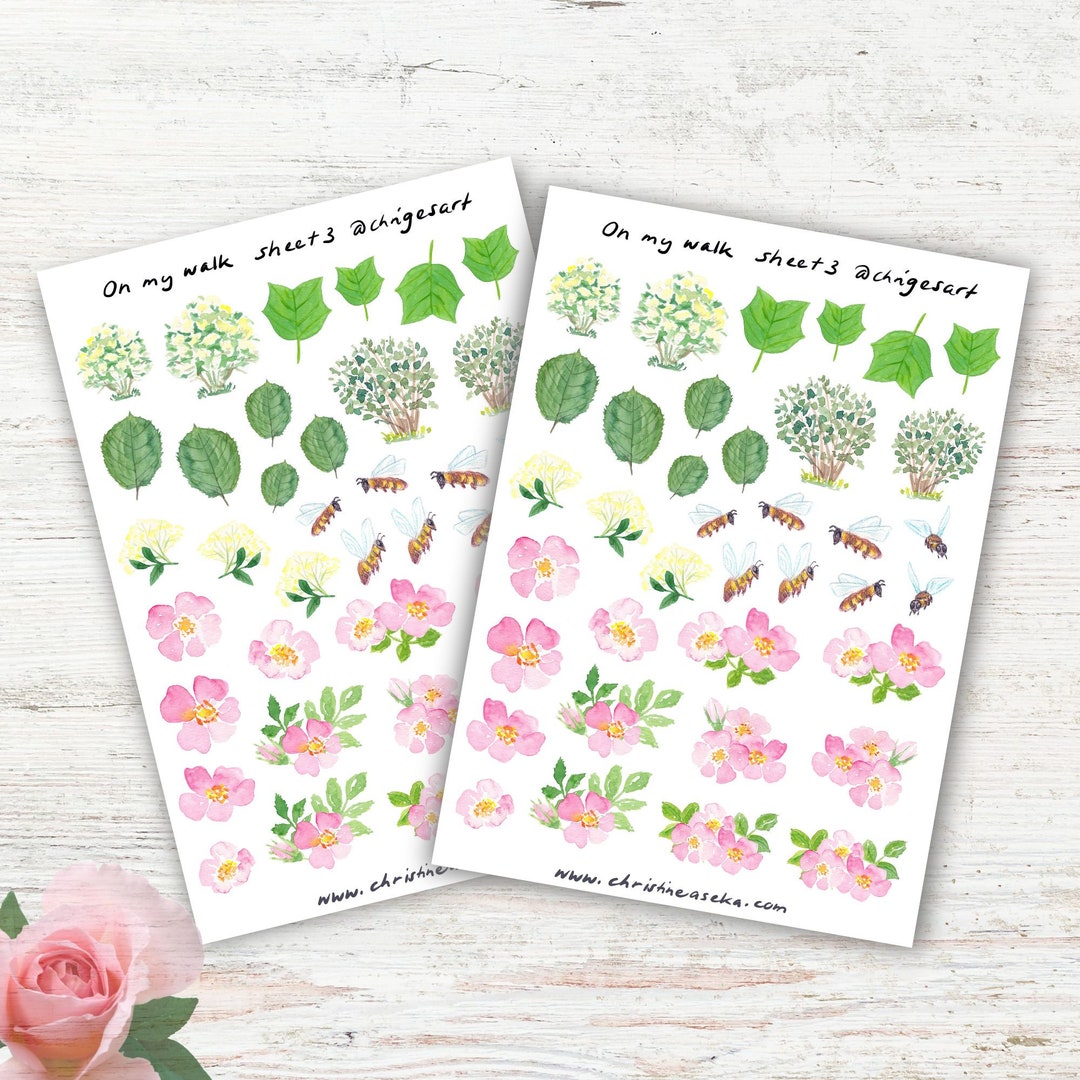 Flower Sticker Sheet Bundle, Watercolor Sticker Set, Roses and Leaves ...