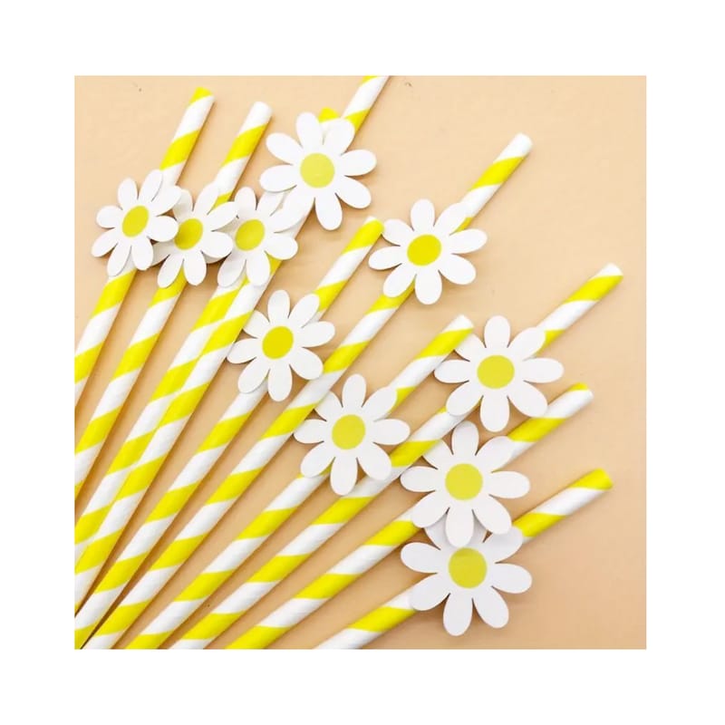 Daisy Party Decorations - Etsy