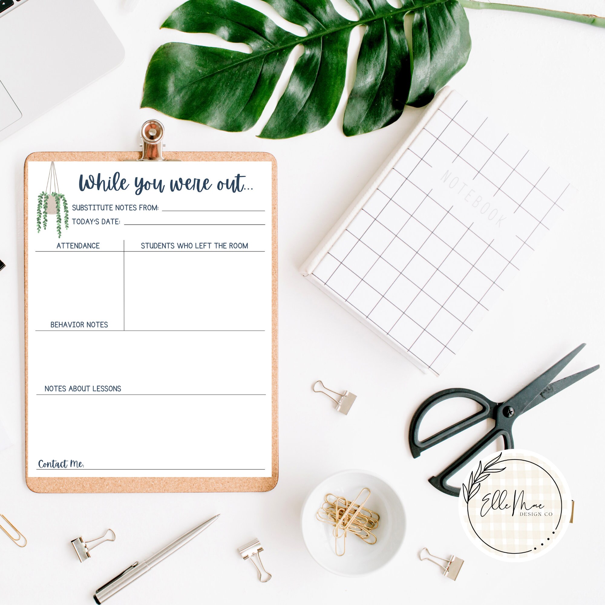 Editable Succulent Plants Substitute Teacher Note • Feedback • School ...