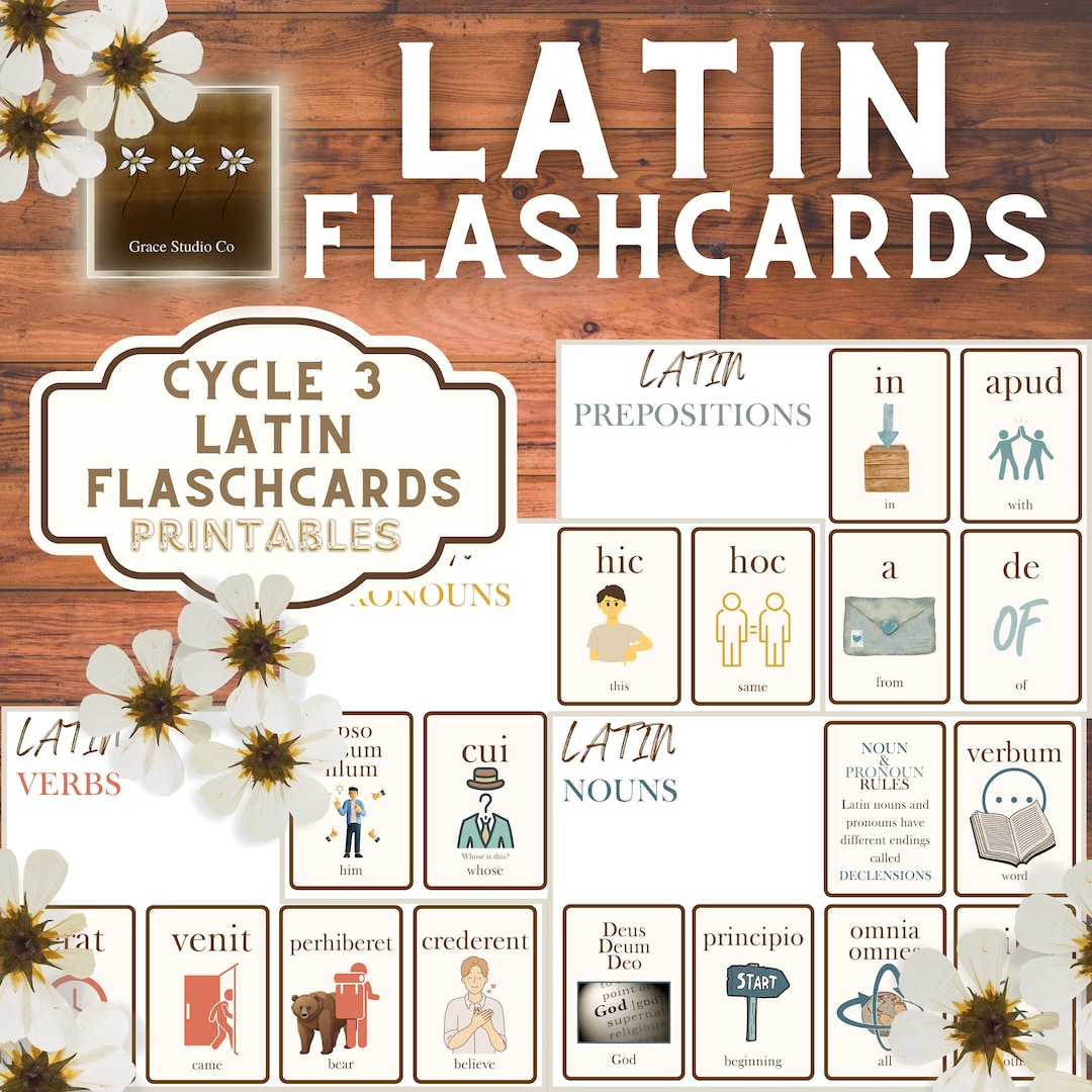 Latin Vocabulary FLASHCARDS (printable) (CC Cycle 3 Compatible) - Etsy