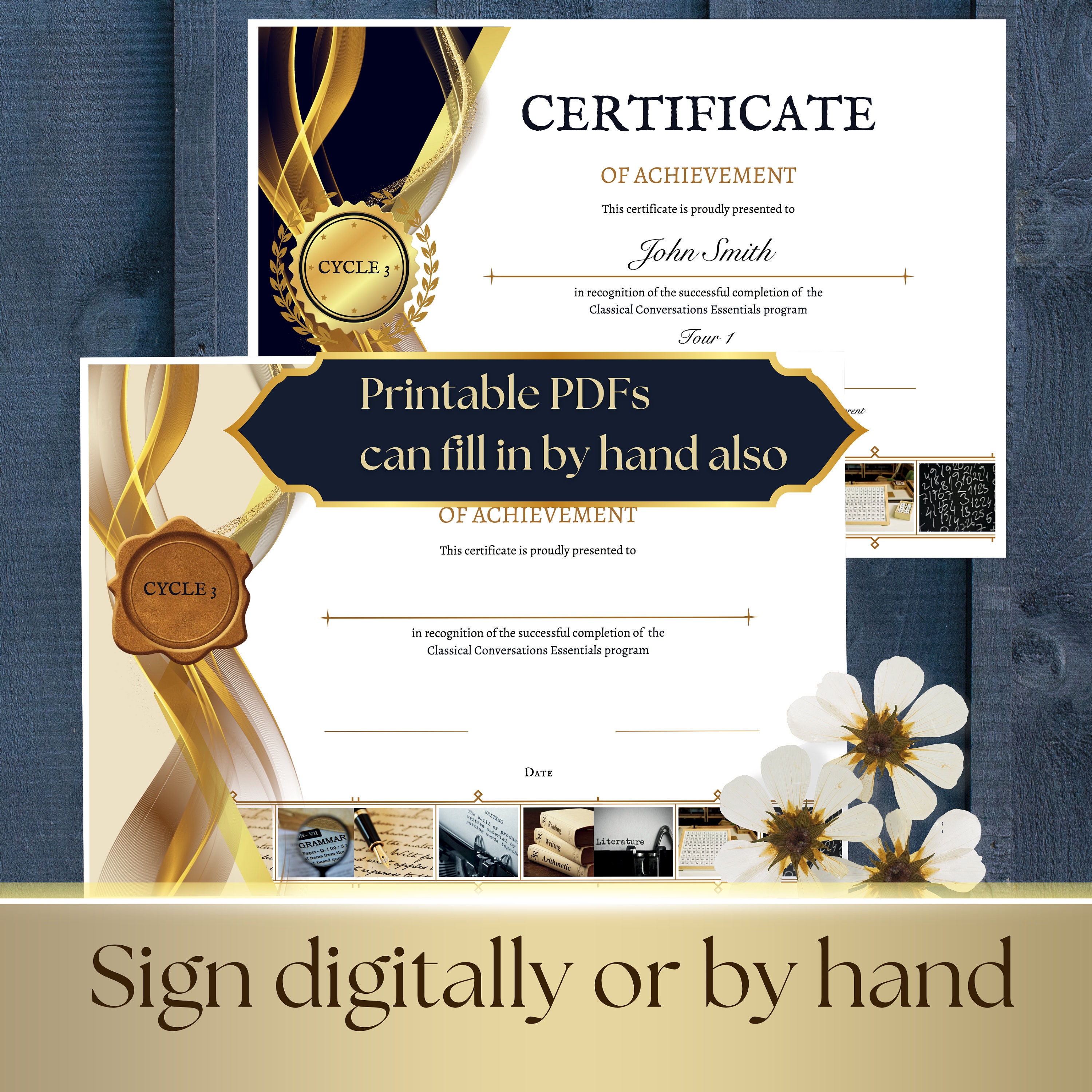 Essentials Certificates Cycle 3 BUNDLE 2 Options Light/dark FILLABLE ...