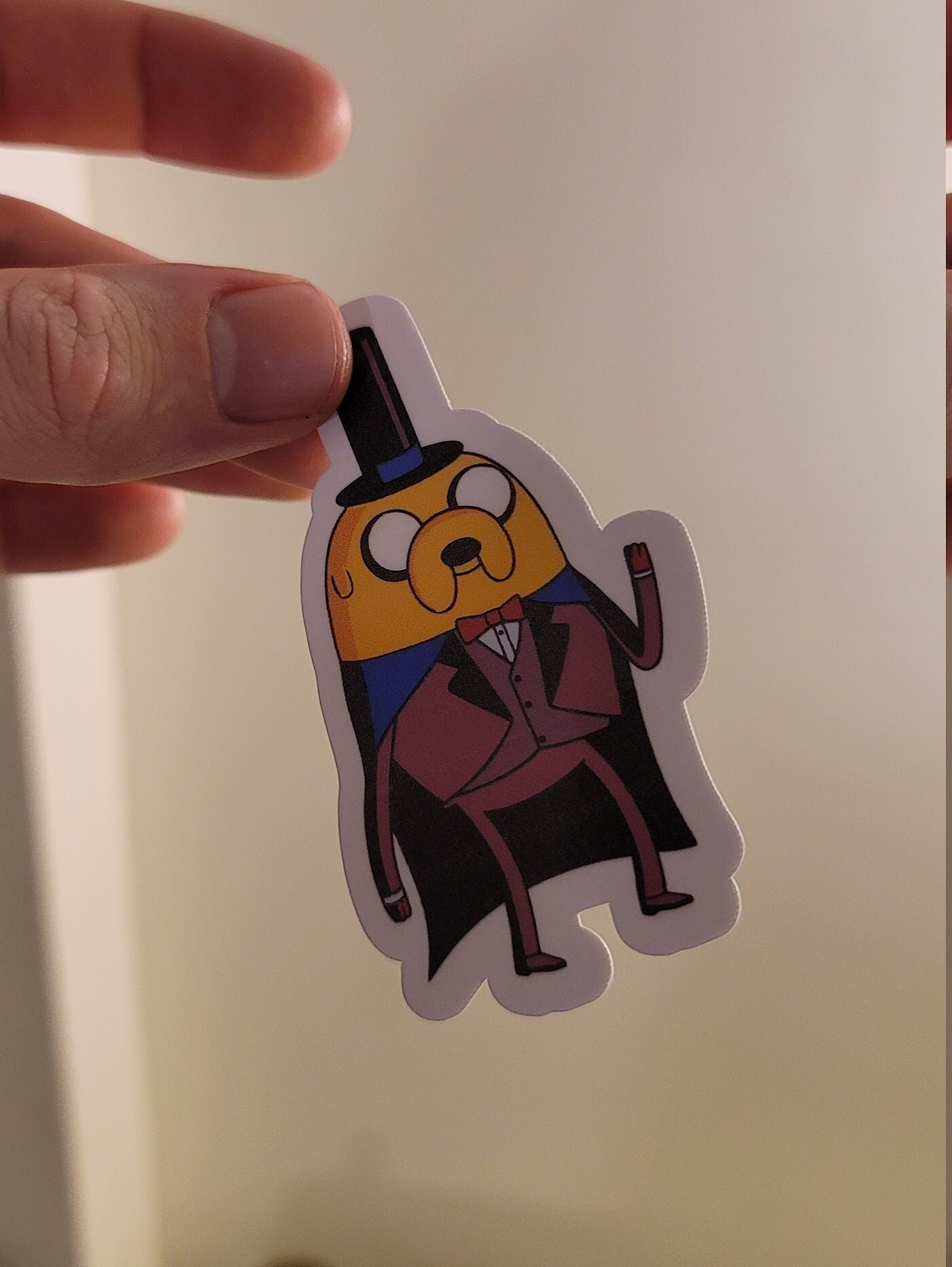 Adventure Time Stickers. 12 Pack. Vinyl, Long Lasting. - Etsy