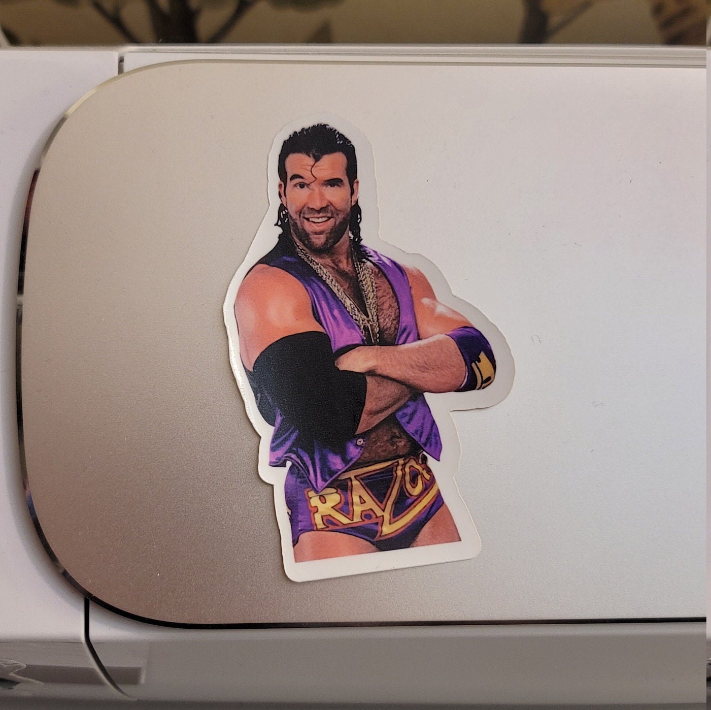 Razor Ramon Scott Hall Sticker. Vinyl Long Lasting - Etsy