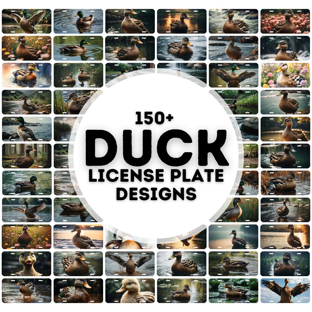 150+ Duck License Plate Sublimation Designs Png, License Plate ...
