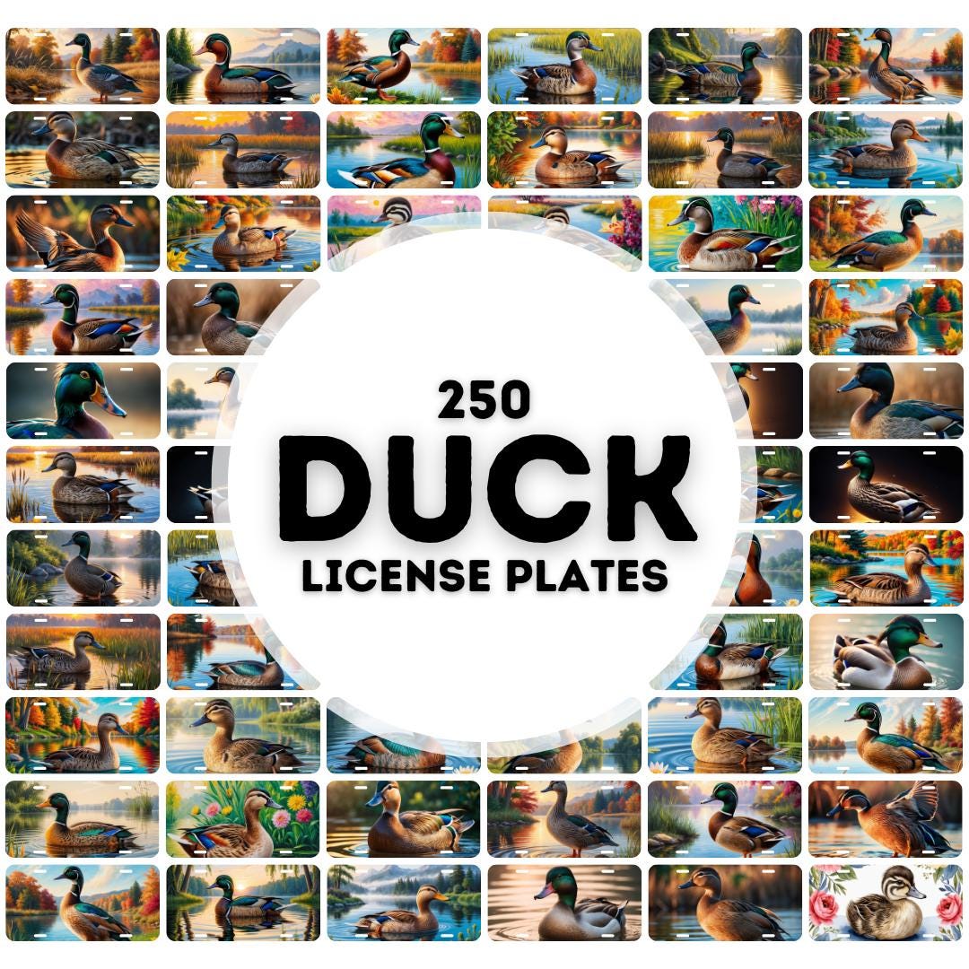 250+ Duck License Plate Sublimation Designs Png, License Plate ...