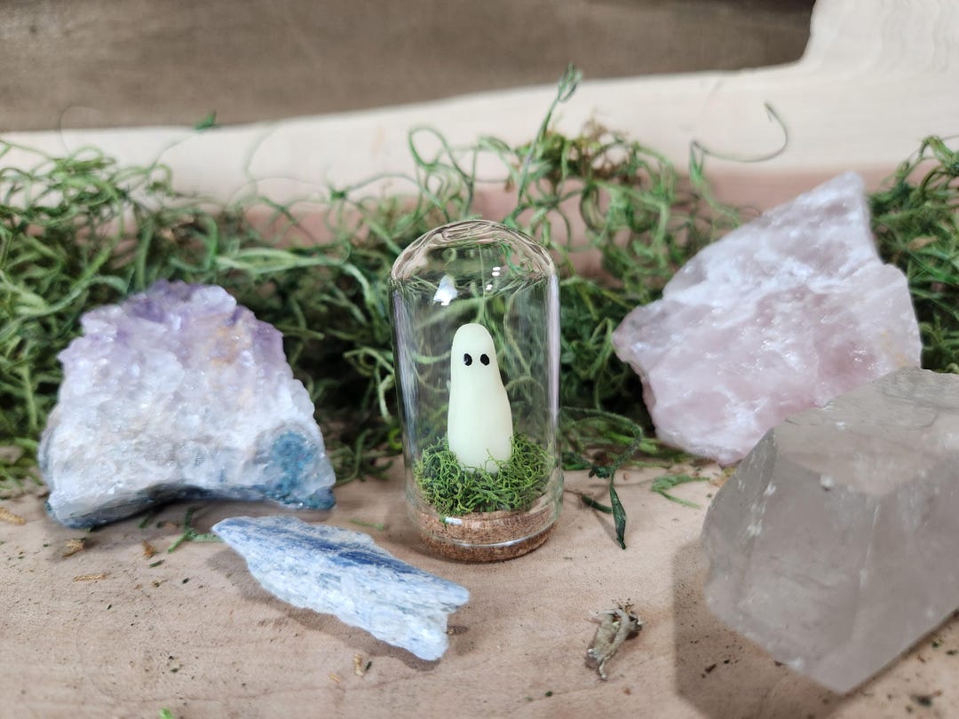 Mini Pet Ghost in a Jar - Etsy