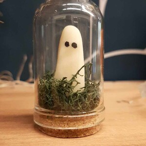 Mini Pet Ghost in a Jar - Etsy