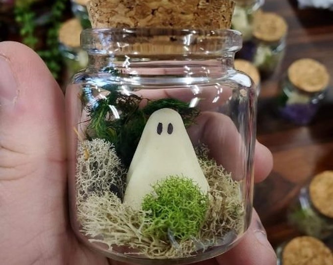 Wild Caught Ghost in A Jar, A Bottled Mini Ghost for Ghostly ...