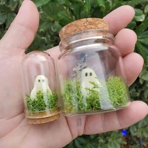 Mini Pet Ghost in a Jar - Etsy