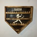 Set of Personalized Player-at-bat Baseball and Ring Display Holds 22 ...