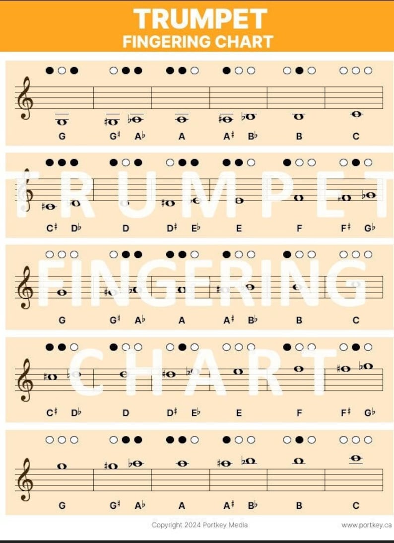 Trumpet Fingering Chart PDF File - Etsy