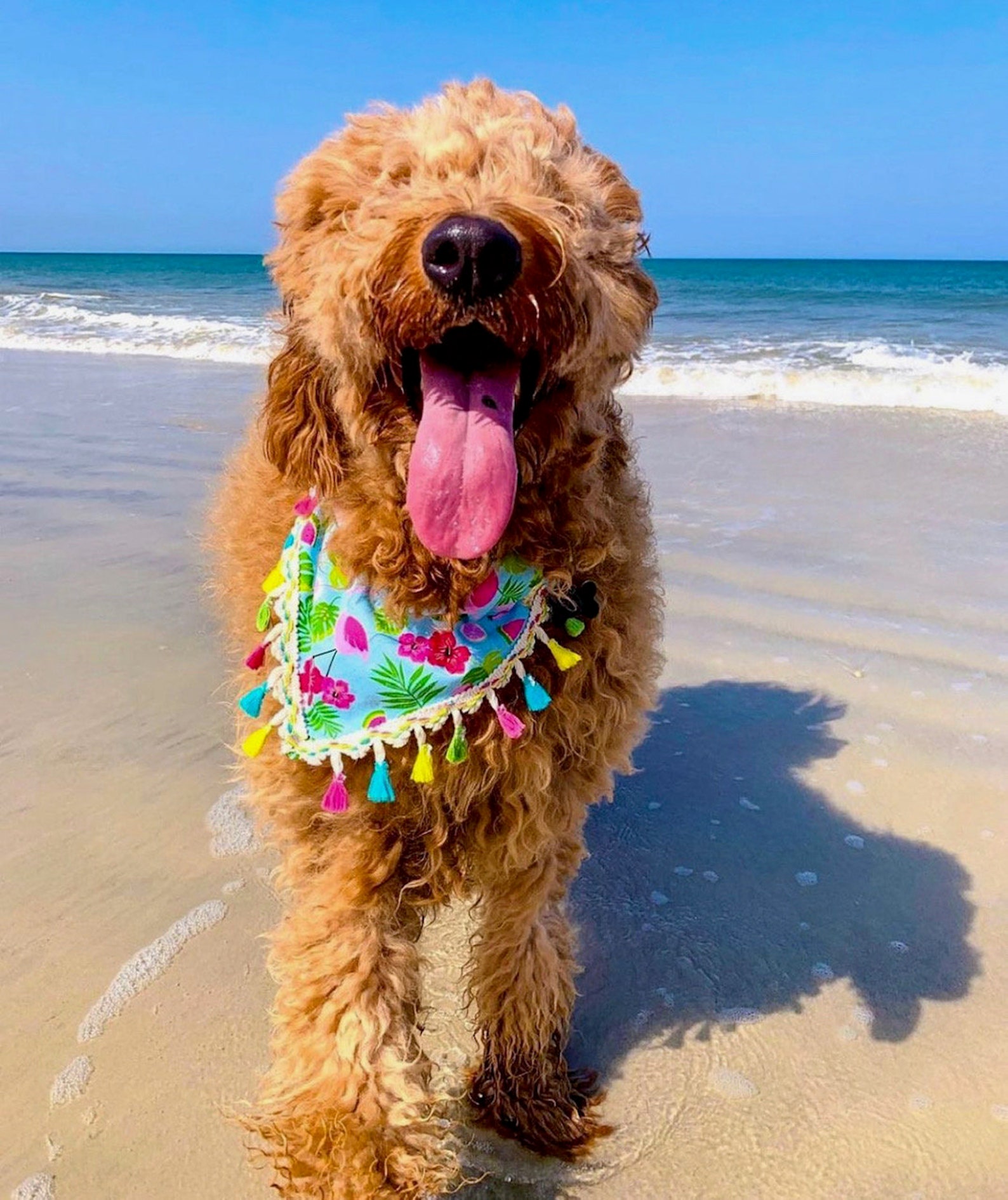 Scrunchie Dog Bandana Pattern Dog Bandana Pattern With - Etsy