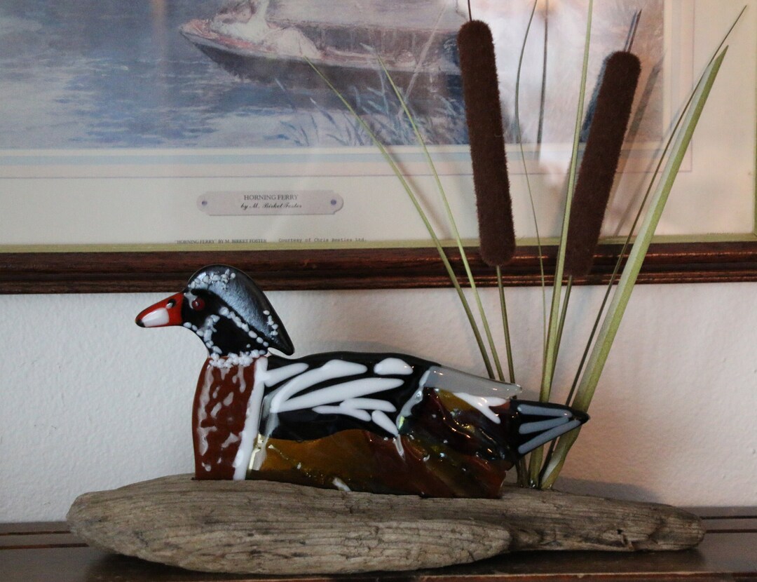 Wood Duck, Fused Glass Wood Duck, Wood Duck Art, Ducks, Birds, Water ...