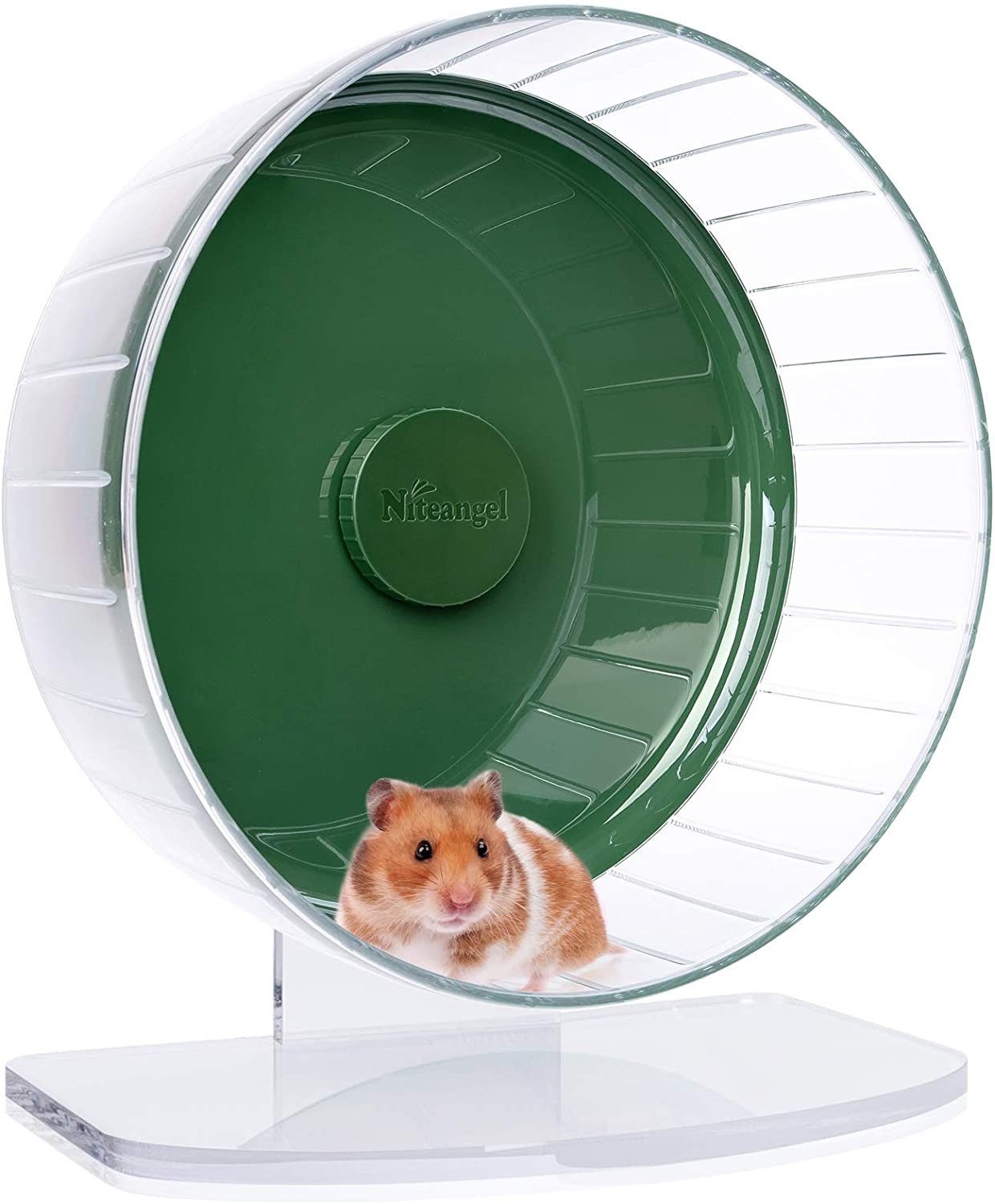 Soundless Hamster Wheel Sellers Sale | instrumentation.kmitl.ac.th