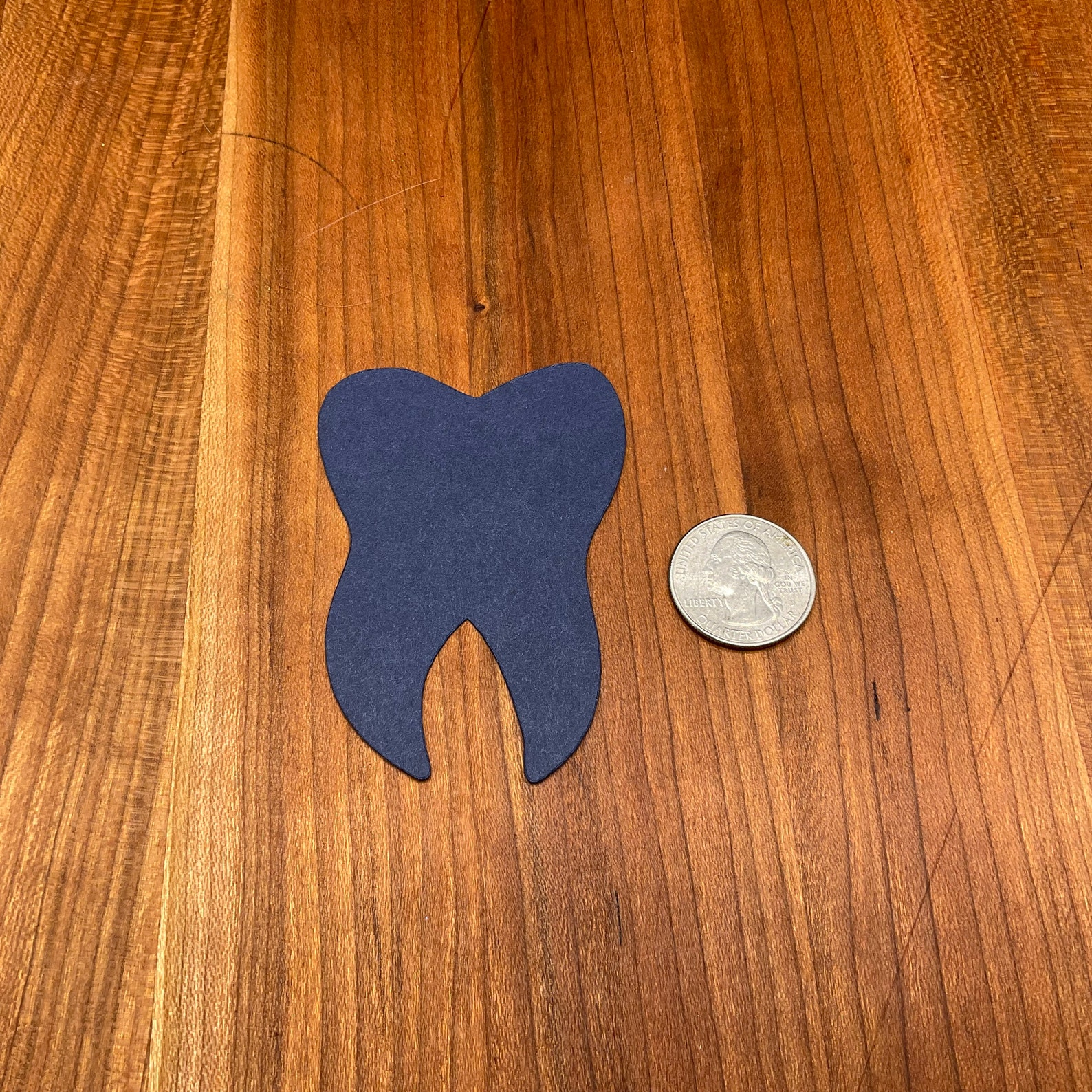 Tooth Die Cut Set of 24 // Paper Card Stock Tooth Cut Out // Multiple ...