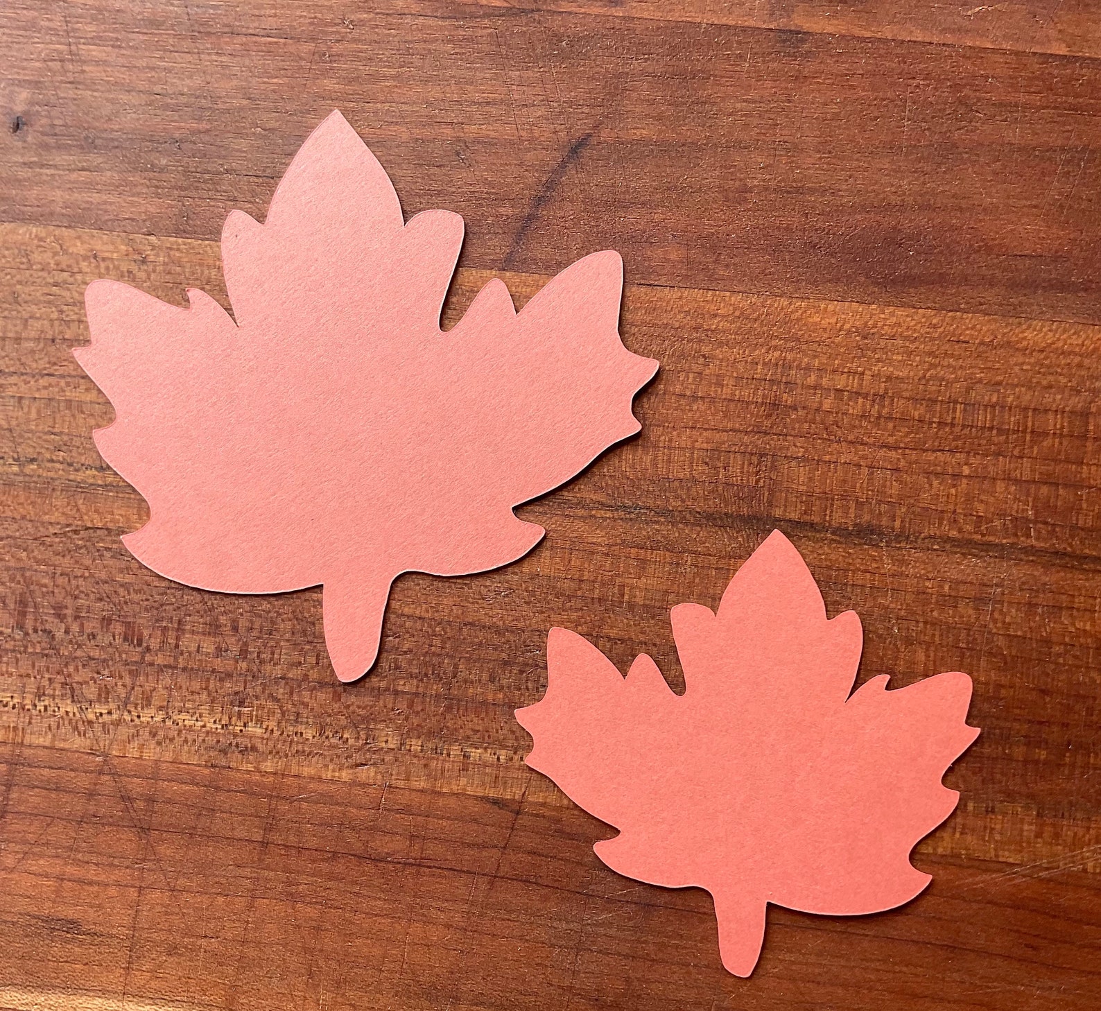 Die Cut Fall Leaves Set of 24 Pieces // Leaf Paper Cut Out Available in ...