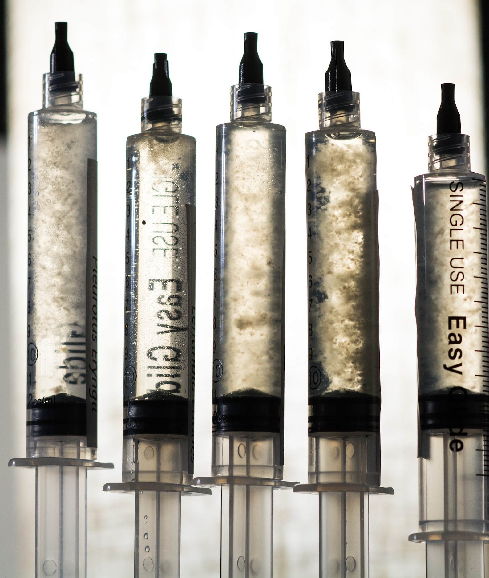 5-pack Gourmet Mushroom Liquid Culture Syringe Kit your - Etsy