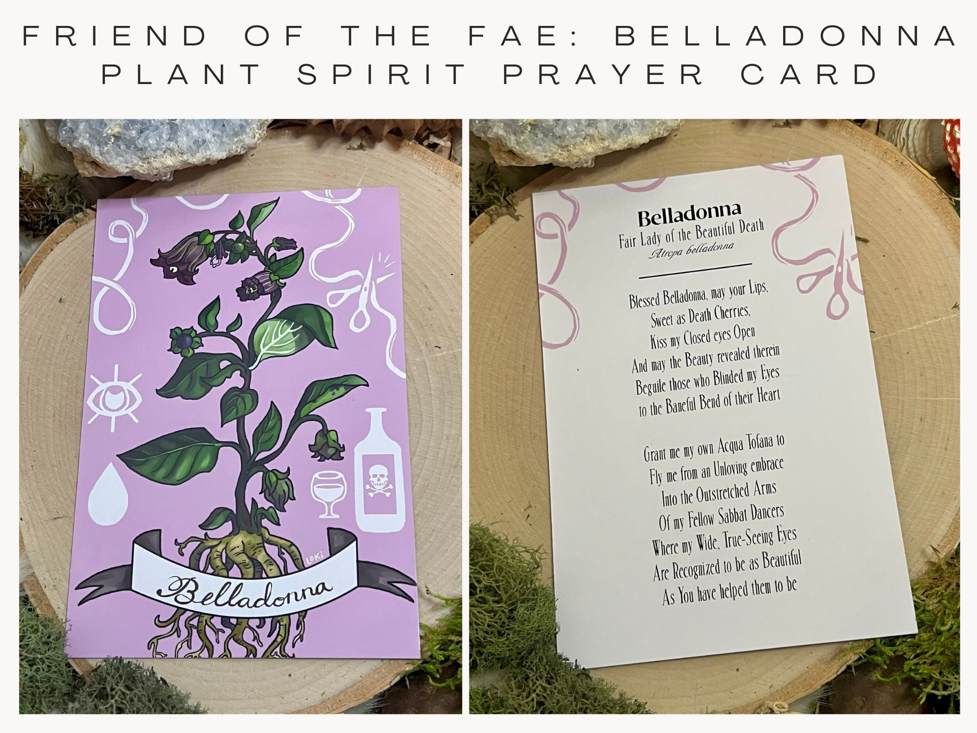 Belladonna Plant Spirit/fae Prayer Card - Etsy