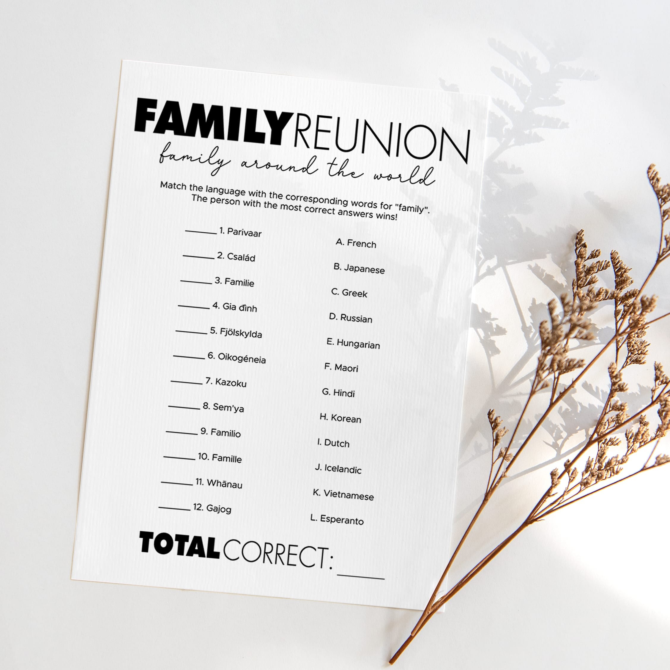 Family Around the World Game Printable Modern Family Reunion Language ...