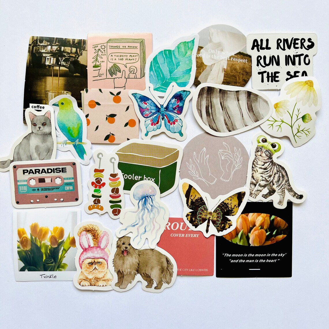 Assorted Contemporary Style Sticker Packs - Etsy