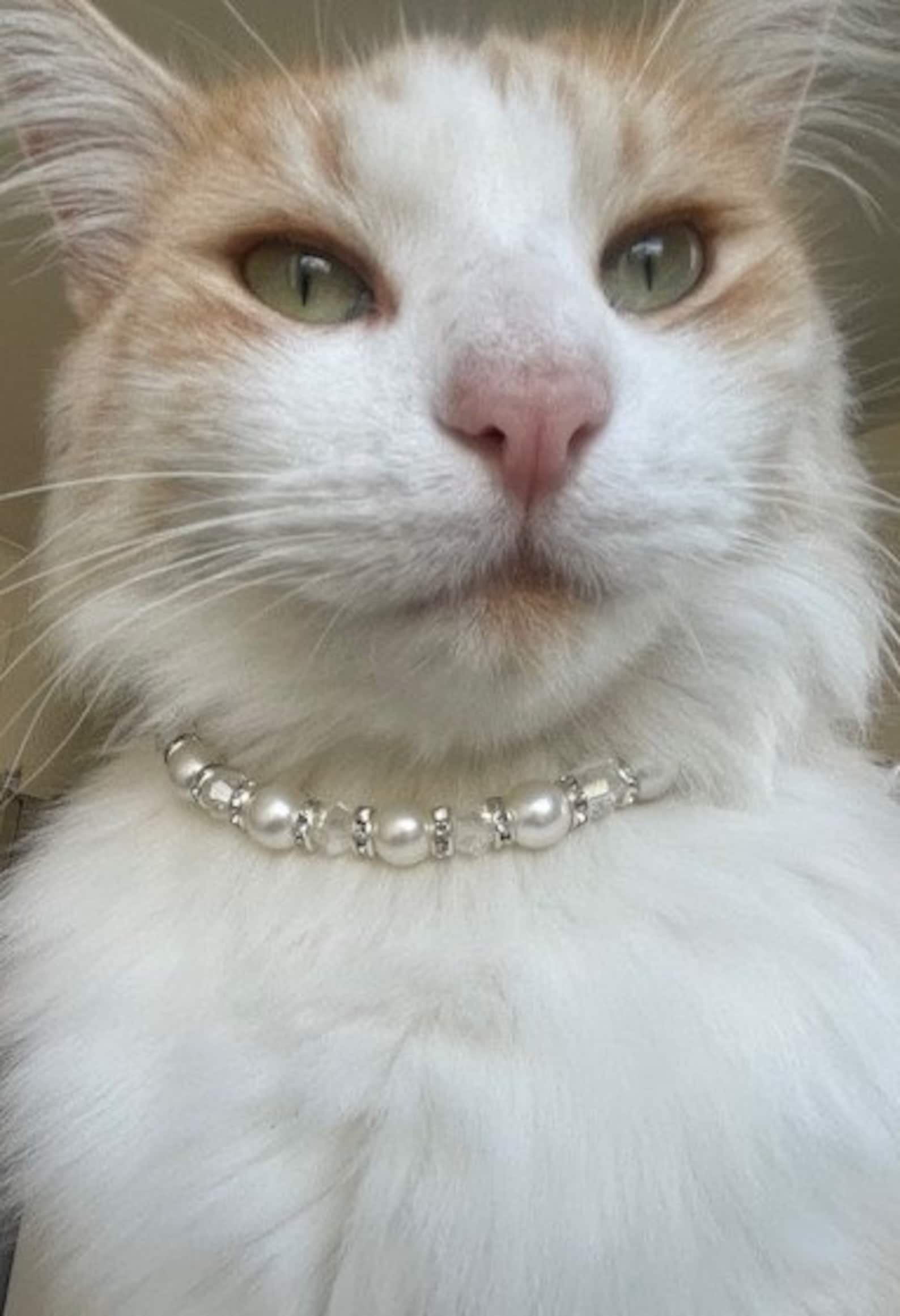 Pearl, Rhinestone & Bead Adjustable Elastic Fashion Collar Necklace for ...