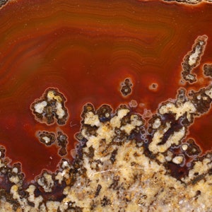 Mud-splash in Fighting Blood Warring States Agate, Hebei, Province ...
