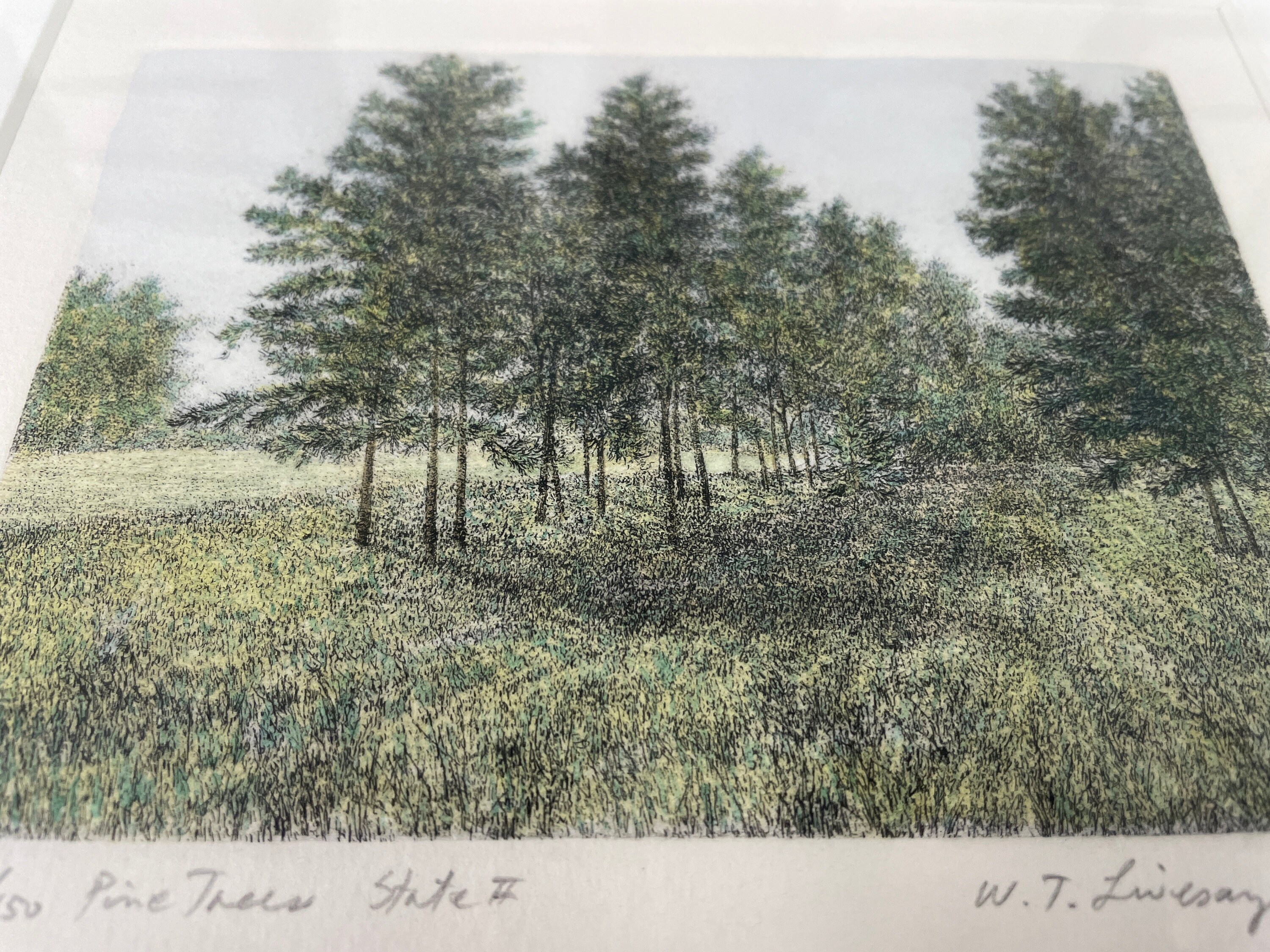 William Livesay, pine Trees State, Color Intaglio State 27/150, 1985 - Etsy