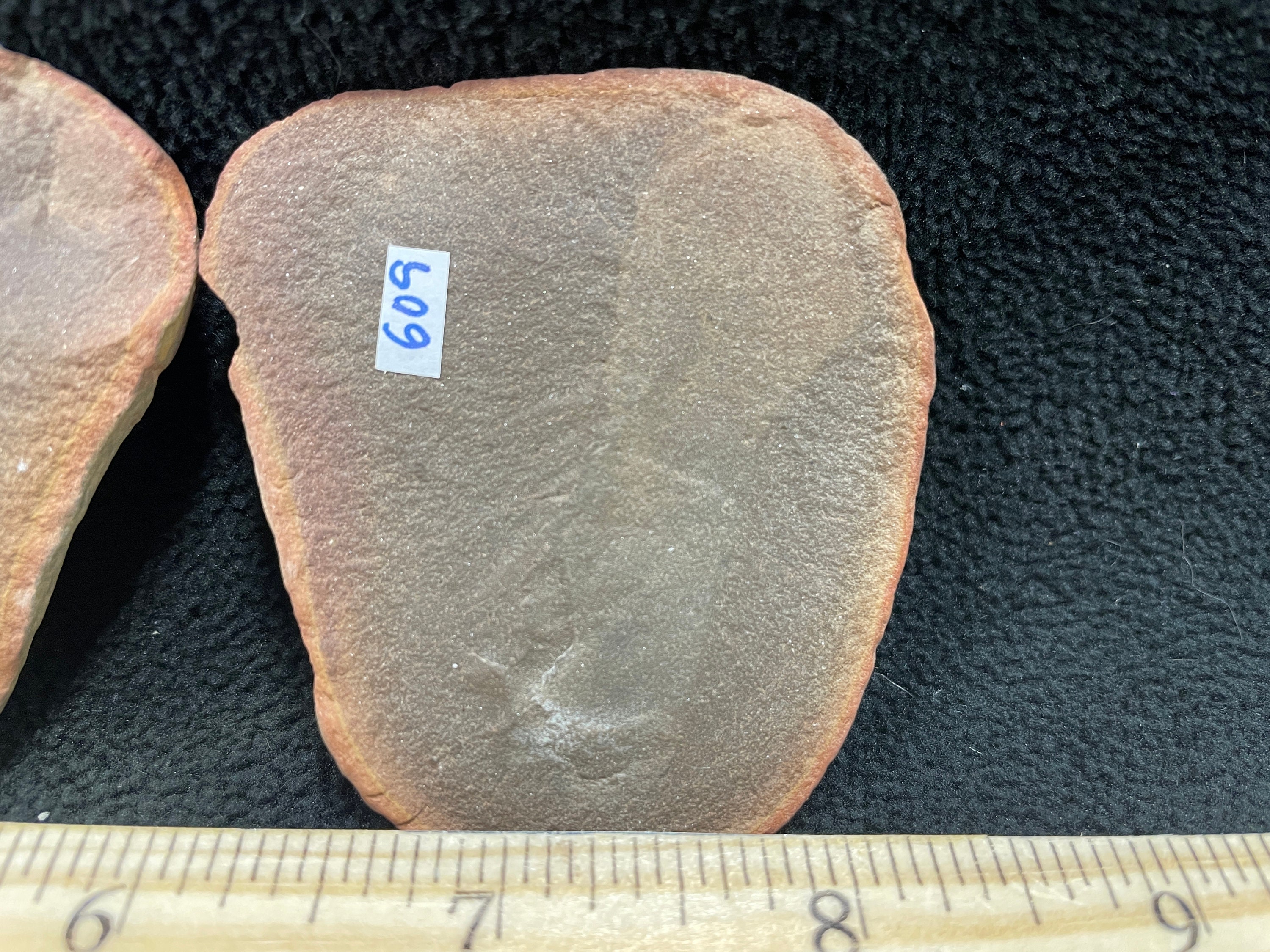 Nice Little Tully in Nodule, Mazon Creek, IL - Etsy