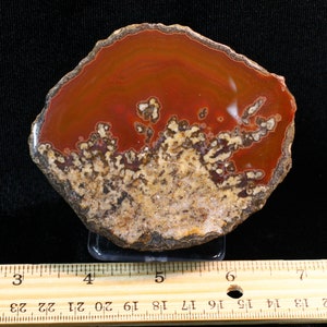 Mud-splash in Fighting Blood Warring States Agate, Hebei, Province ...