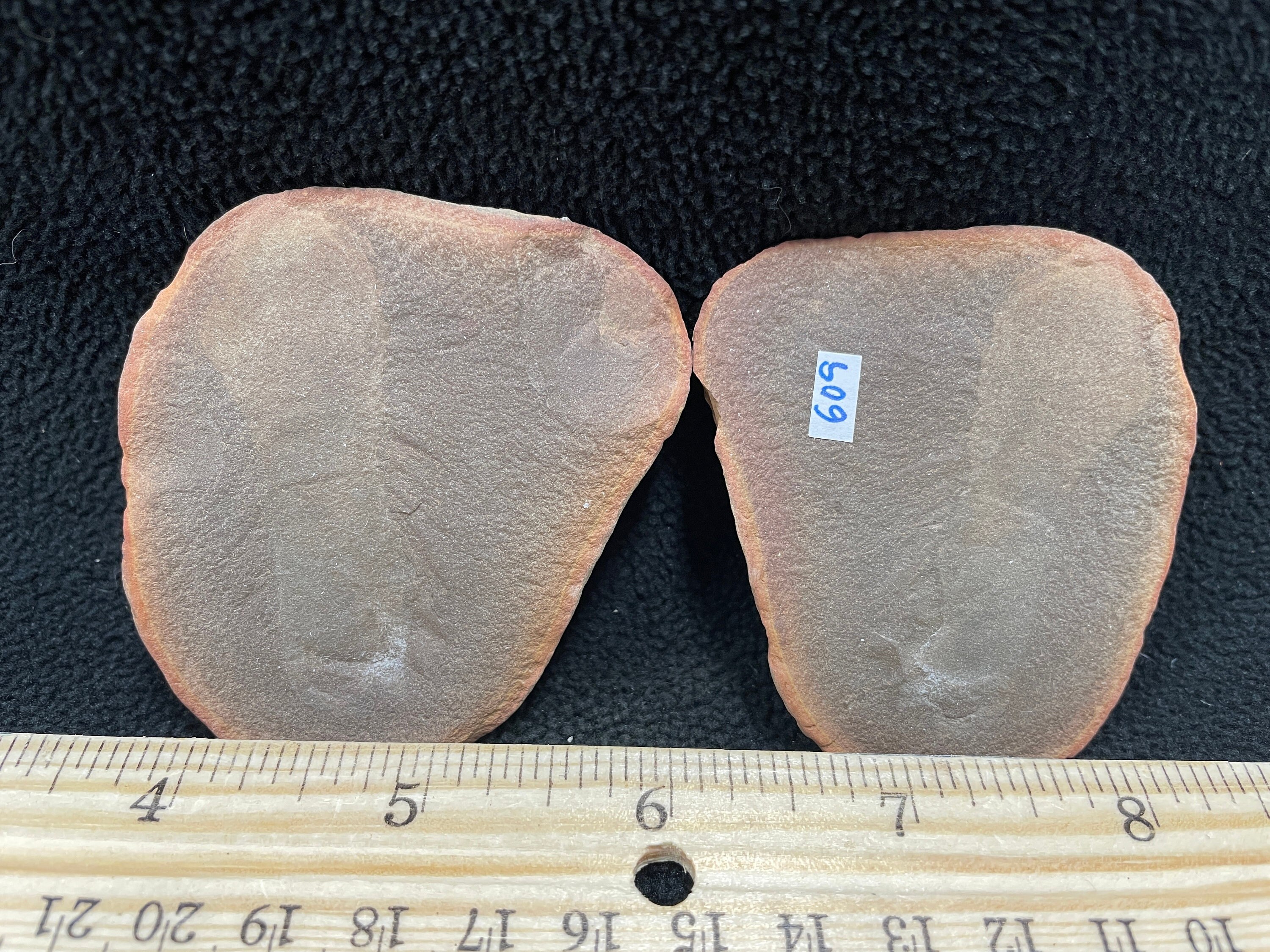 Nice Little Tully in Nodule, Mazon Creek, IL - Etsy