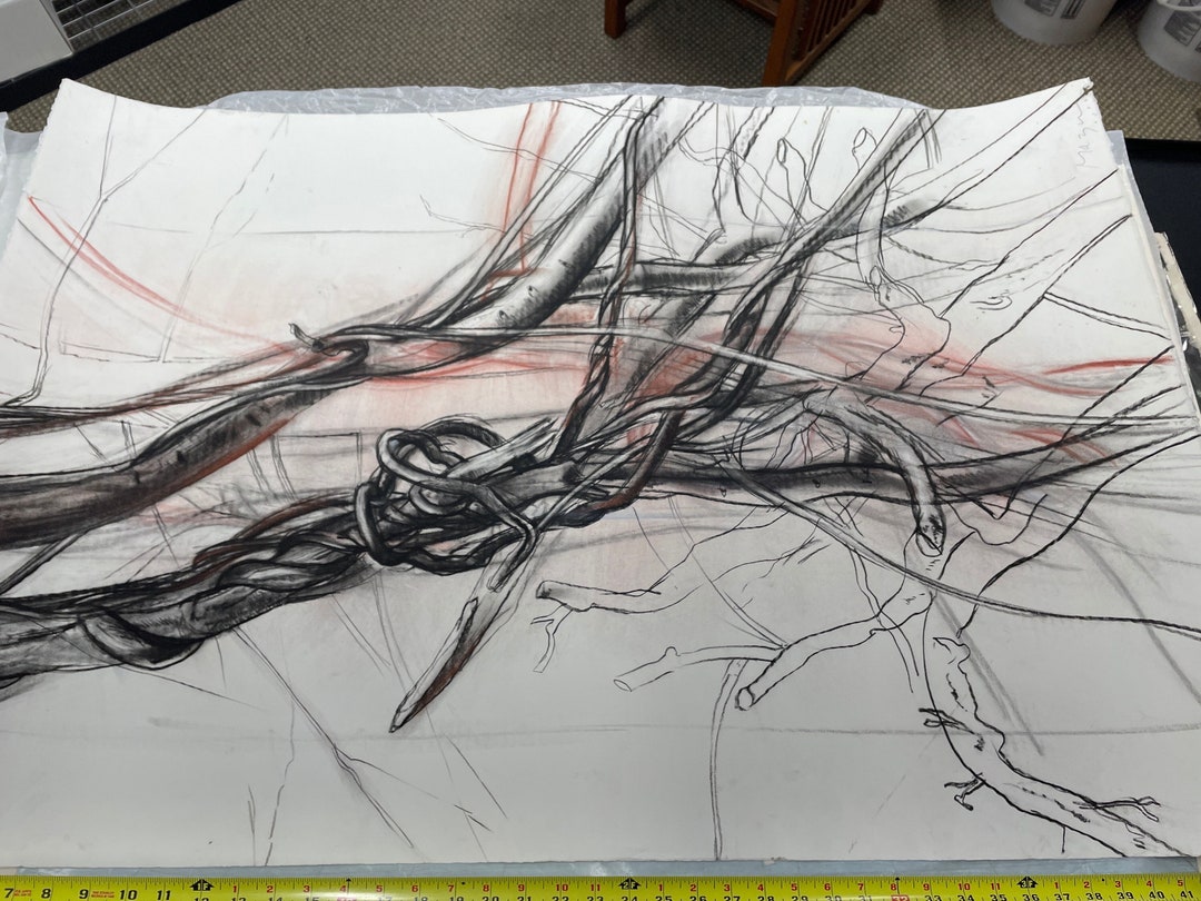 Michael Mazur, Untitled, but Signed Drawing on Paper. 44 X 30 1/4” - Etsy