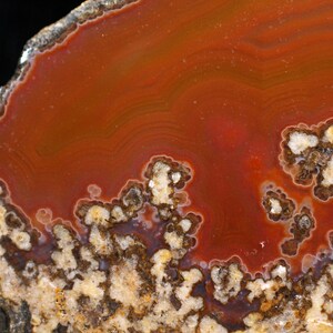 Mud-splash in Fighting Blood Warring States Agate, Hebei, Province ...