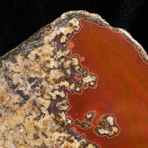 Mud-splash in Fighting Blood Warring States Agate, Hebei, Province ...