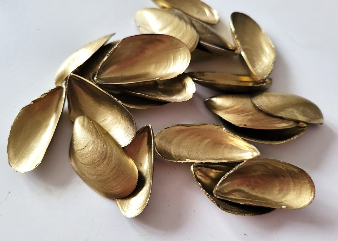 Lot of Gold Painted Mussel Shells, Pierced or Not Pierced - Etsy