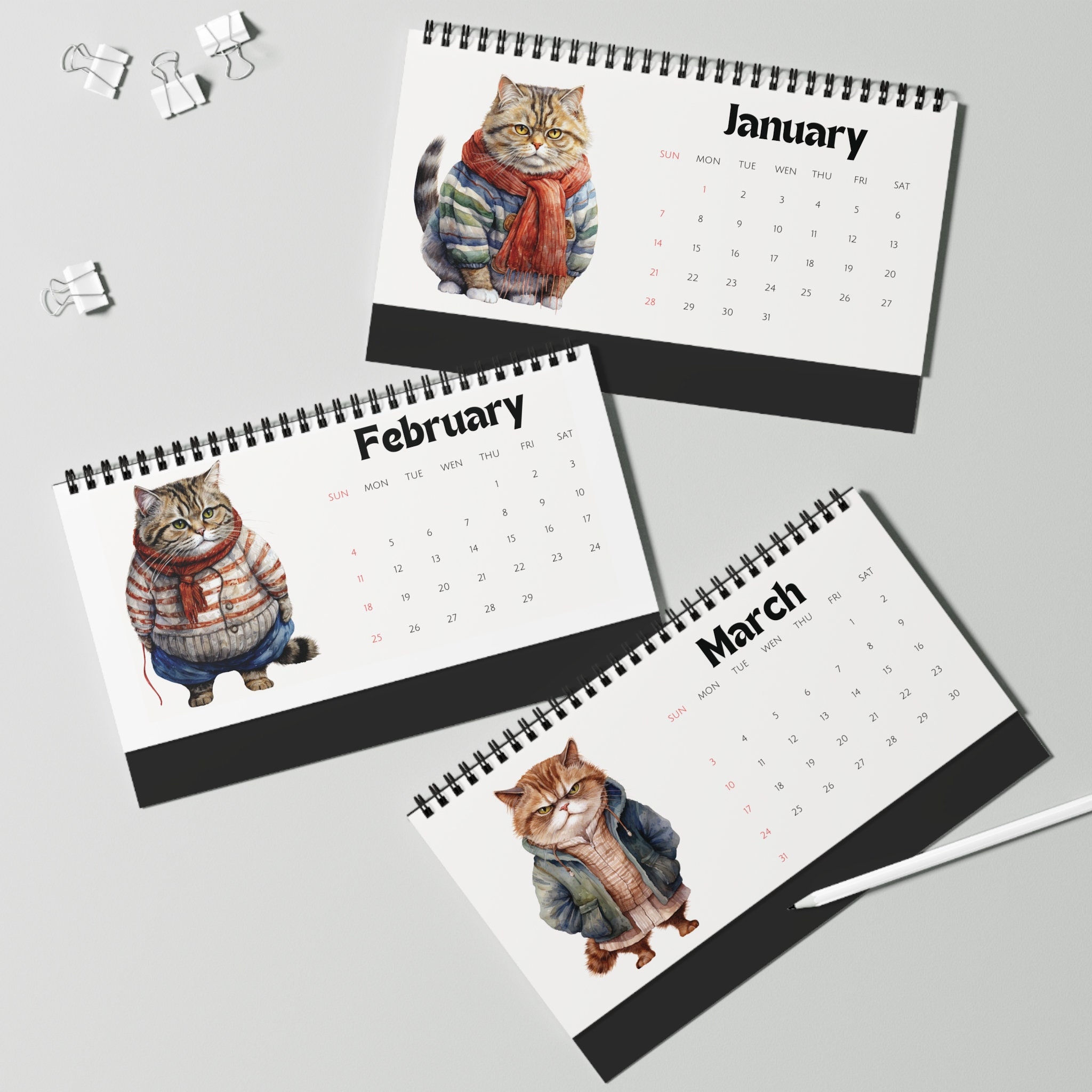 2024 Fat Cat in Sweater Desk Calendar, Angry Cat Calendar sold by ...