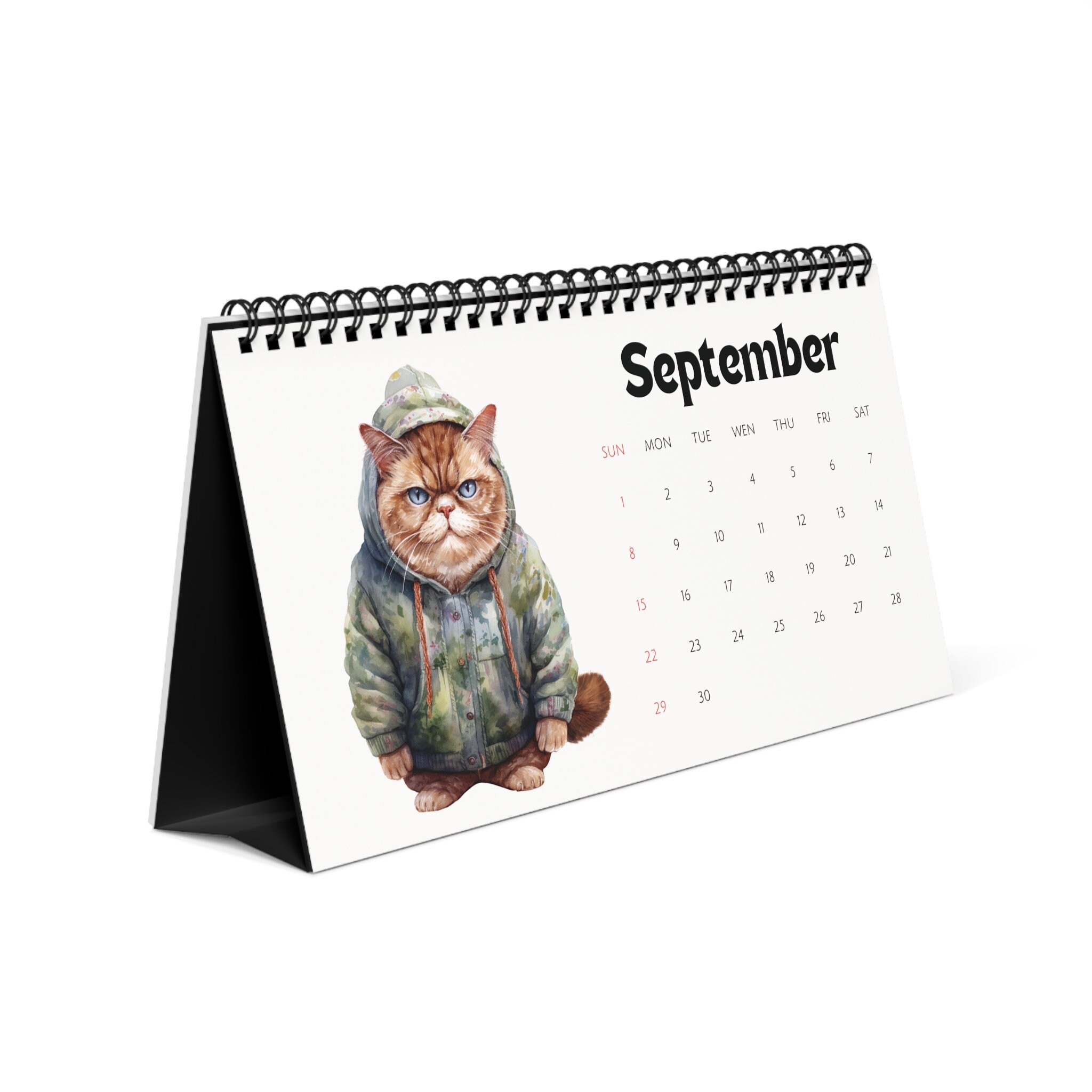 2024 Fat Cat in Sweater Desk Calendar, Angry Cat Calendar sold by ...